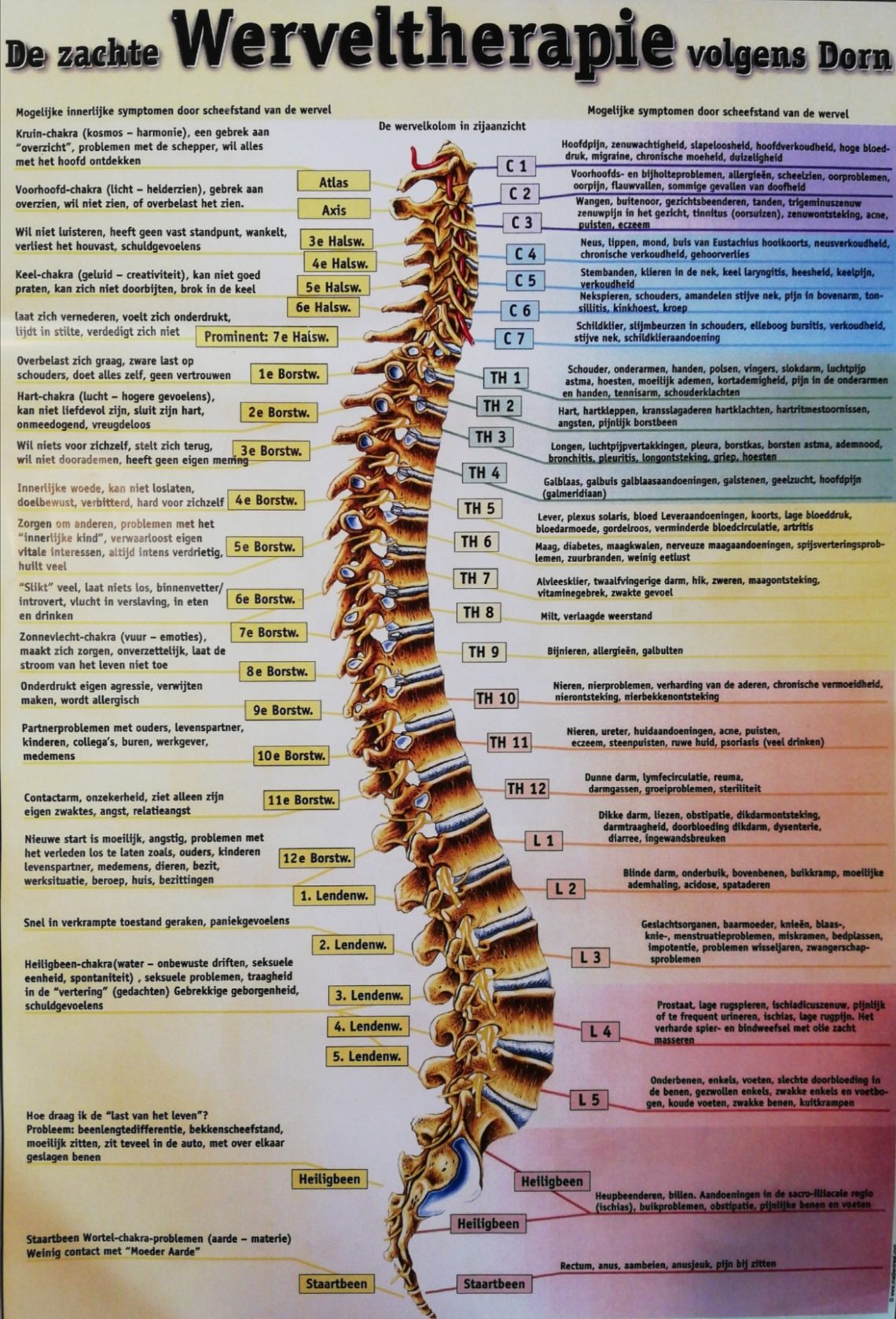 Dorn-Breuss – Van Os Dorn-therapie